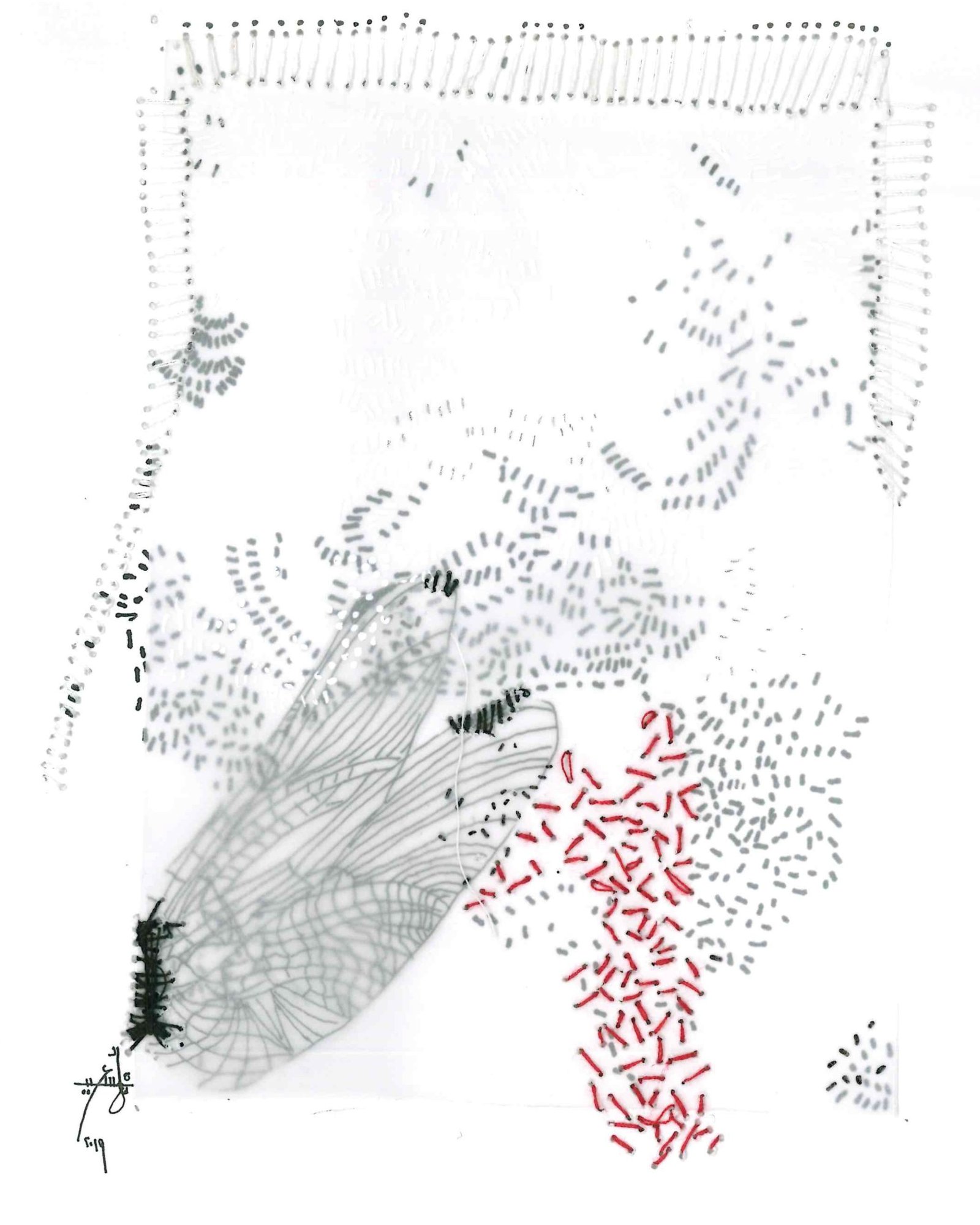 The Flap II - Racotis Art